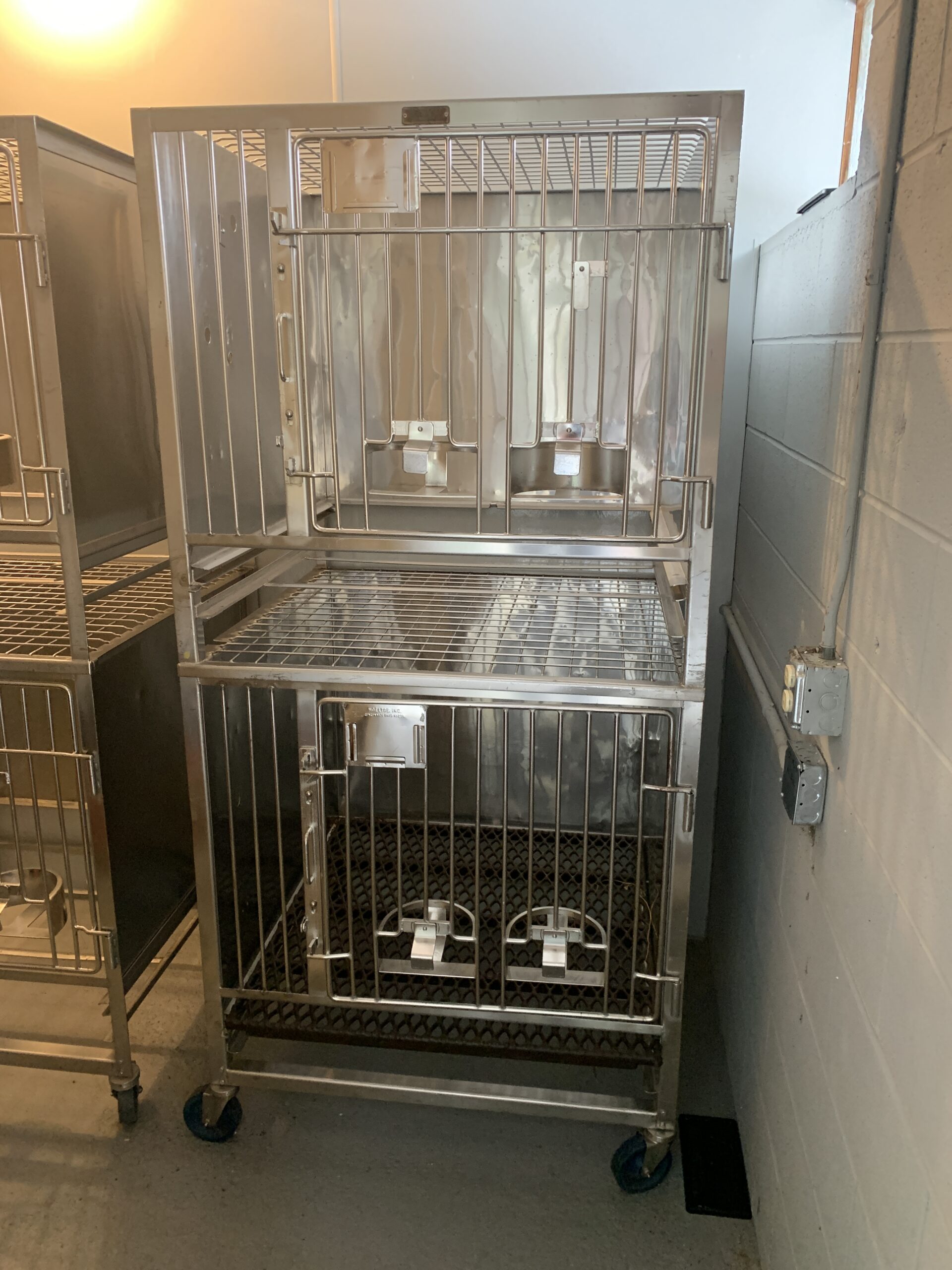 Sweetpea’s History - Sweetpea Friends of Rutland Animals